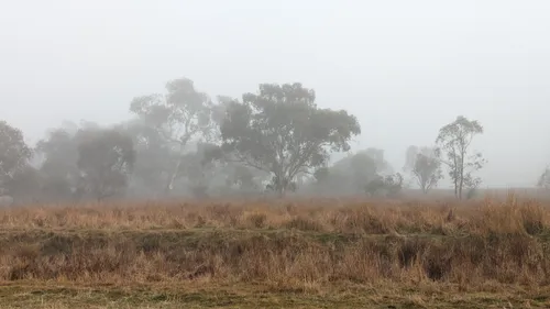 Best Hikes and Trails in Aranda Bushland Nature Reserve | AllTrails