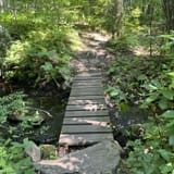 Case Mountain Trail, Connecticut - 1,025 Reviews, Map | AllTrails