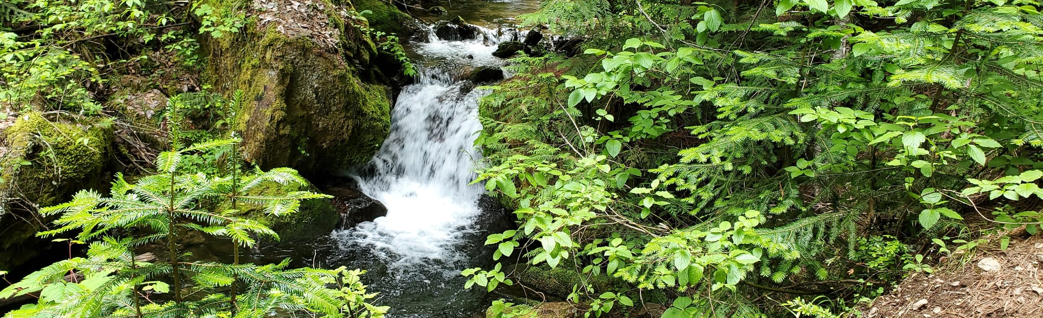 Pulaski Tunnel Trail: 929 Reviews, Map - Idaho | AllTrails