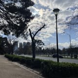 The Tan Track, Victoria, Australia - 568 Reviews, Map | AllTrails