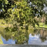 The Tan Track, Victoria, Australia - 585 Reviews, Map | AllTrails