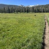 Big Meadow to Round Lake, California - 731 Reviews, Map | AllTrails
