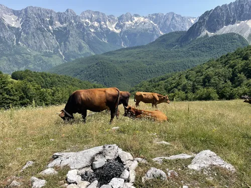 Best Hikes and Trails in Valbona Valley National Park | AllTrails