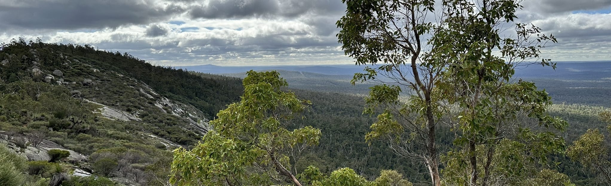 Mount Cooke via Bibbulmun Track: 273 Reviews, Map - Western Australia ...