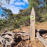Centenary Walk via Werribee Gorge Circuit, Victoria, Australia - 117 ...