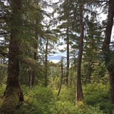 Starrigavan Ridge Trail, Alaska - 39 Reviews, Map | AllTrails
