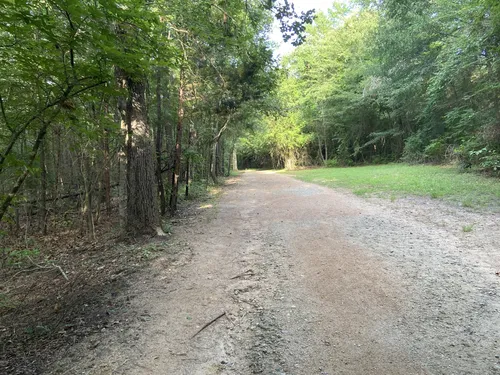 10 Best Trails and Hikes in Tyler | AllTrails