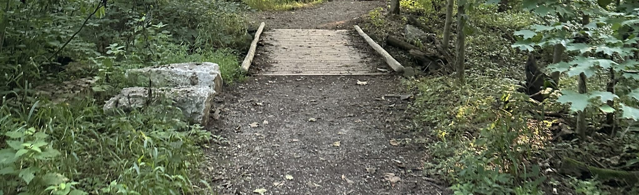 Nine Penny Branch Loop, Indiana - 505 Reviews, Map | AllTrails