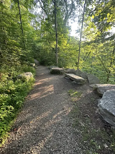 Best Hikes and Trails in Nine Penny Branch Nature Preserve | AllTrails