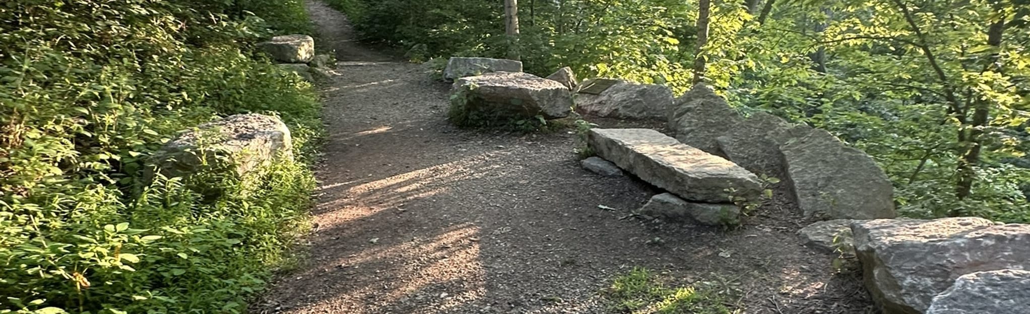 Nine Penny Branch Overlook, Indiana - 18 Reviews, Map | AllTrails