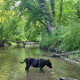 Paul Ruster Trail, Indiana - 235 Reviews, Map | AllTrails