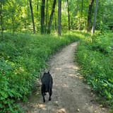Paul Ruster Trail, Indiana - 235 Reviews, Map | AllTrails