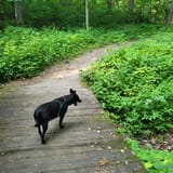 Paul Ruster Trail, Indiana - 235 Reviews, Map | AllTrails