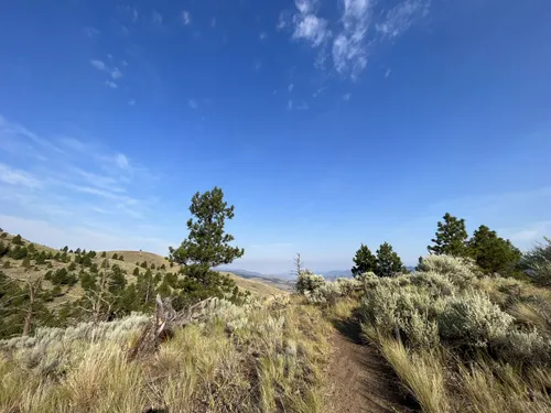 10 Best Hikes and Trails in Kenna Cartwright Nature Park | AllTrails