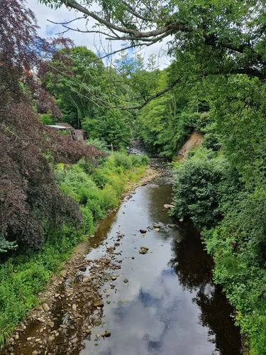 10 Best Walking Trails in Goathland | AllTrails