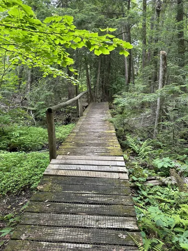 Best Hikes and Trails in The Ridges Sanctuary State Natural Area ...