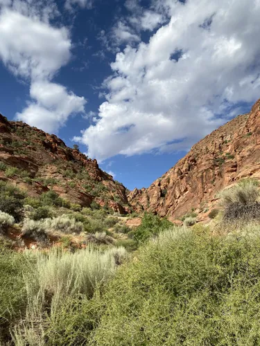 10 Best Hikes and Trails in Red Cliffs National Conservation Area ...