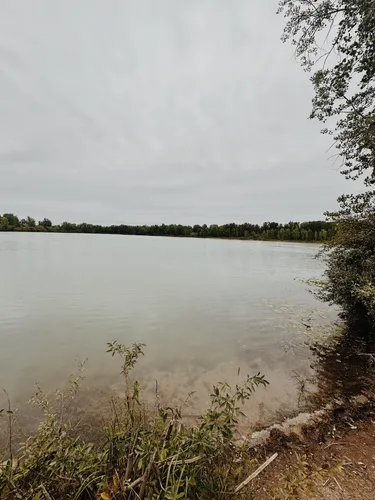 Best Hikes and Trails in Bass River Recreation Area | AllTrails