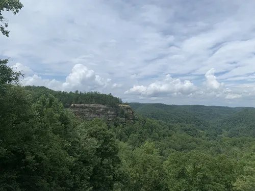 Best 10 Hikes and Trails in Natural Bridge State Park | AllTrails