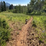 Rock Springs Trail, Utah - 26 Reviews, Map | AllTrails