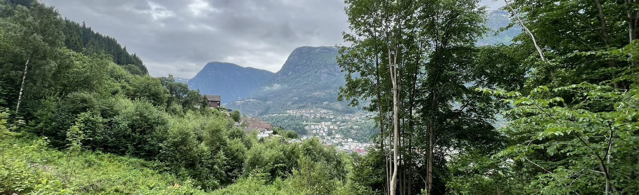 Sentiero nel bosco intorno a Odda: 33 foto - Vestland, Norvegia | AllTrails
