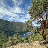 Wesley Ridge, British Columbia, Canada - 716 Reviews, Map | AllTrails