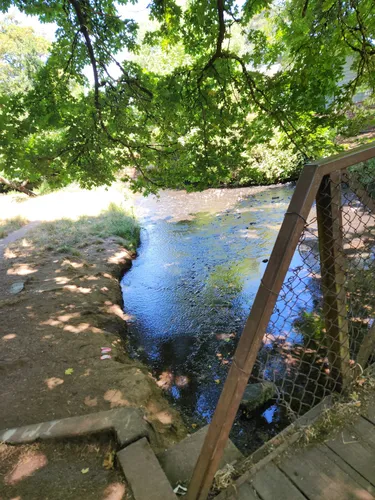 Best Hikes and Trails in Bush's Pasture Phillips Field Park | AllTrails