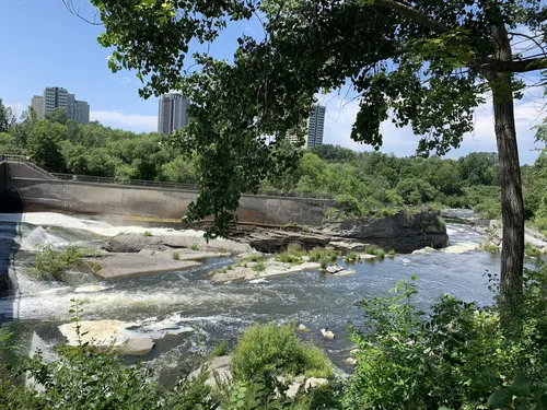 Best Hikes and Trails in Hog's Back Park | AllTrails