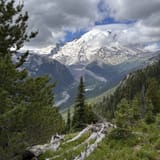 Silver Forest Trail, Washington - 392 Reviews, Map | AllTrails