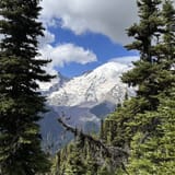 Silver Forest Trail, Washington - 392 Reviews, Map | AllTrails