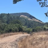 Canyon Trail to Spring Creek Trail Loop, California - 1,417 Reviews ...