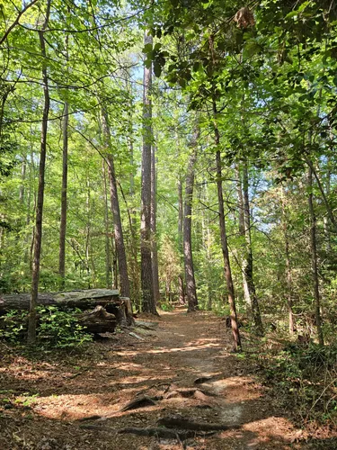 Best Hikes and Trails in Deep Run Park | AllTrails