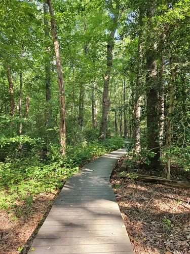 Best Hikes and Trails in Deep Run Park | AllTrails