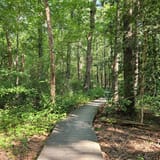 Deep Run Park Perimeter Trail, Virginia - 1,037 Reviews, Map | AllTrails