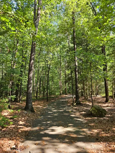 Best Hikes and Trails in Deep Run Park | AllTrails