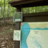 Tinker Falls Trail, New York - 540 Reviews, Map | AllTrails