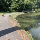 Innsbrook Lakes Trails, Virginia - 252 Reviews, Map | AllTrails