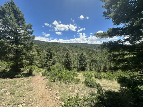 10 Best Trails and Hikes in Angel Fire | AllTrails