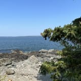 Compass Harbor Trail, Maine - 548 Reviews, Map | AllTrails