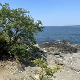 Compass Harbor Trail, Maine - 548 Reviews, Map | AllTrails