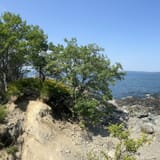 Compass Harbor Trail, Maine - 548 Reviews, Map | AllTrails