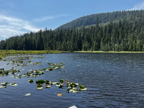 Best Hikes and Trails in Hai Lake Mount Herman Provincial Park | AllTrails