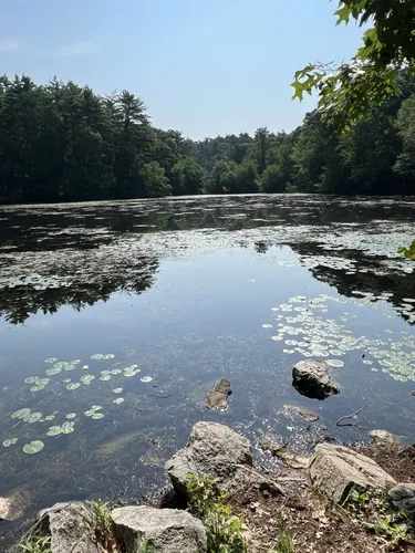 2023 Best Easy Trails in Wrentham | AllTrails