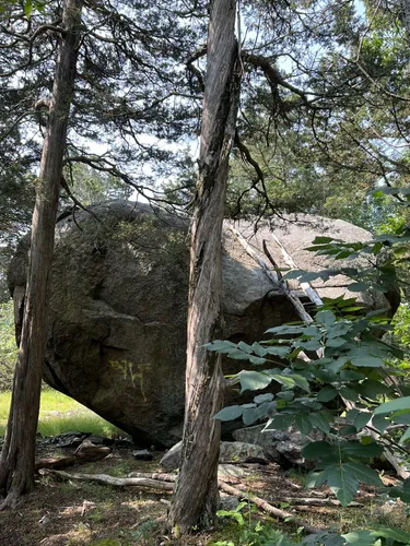 2023 Best Easy Trails in Wrentham | AllTrails