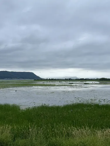 Best Hikes and Trails in Cochrane | AllTrails