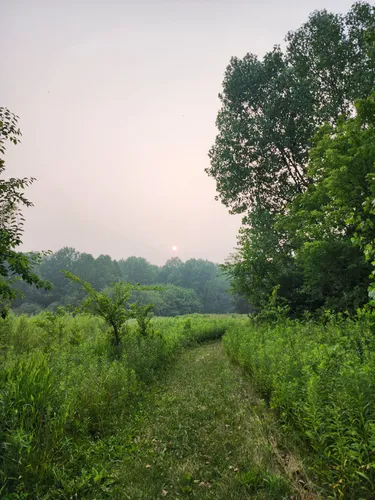 Best Hikes and Trails in Fox Ridge State Park | AllTrails