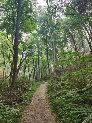 Best Hikes and Trails in Fox Ridge State Park | AllTrails