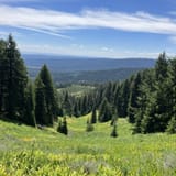 Round Mountain from South Trailhead, Oregon - 34 Reviews, Map | AllTrails