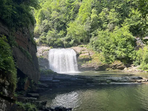 10 Best Waterfall Trails in Cherokee National Forest | AllTrails
