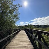 Mercer Slough Nature Park, Washington - 878 Reviews, Map | AllTrails